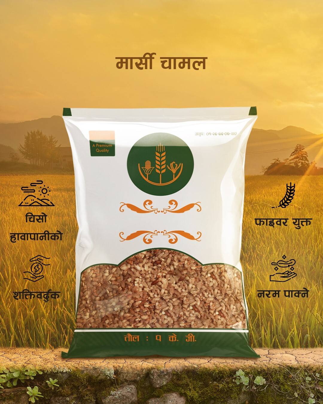 Food & Grocery :: Daily Groceries :: Rice & Rice Products :: Jumli ...