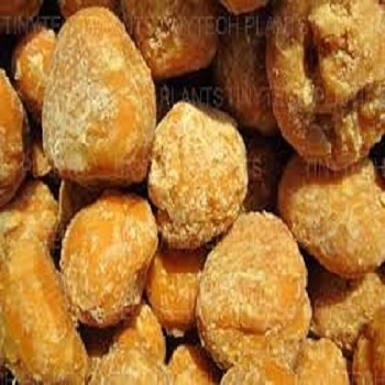 Food & Grocery :: Daily Groceries :: Salt & Sugar :: Kirana- Jaggery ...